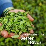 Red Diamond Decaffeinated Pekoe & Orange Pekoe Iced Tea Bags, Family ...