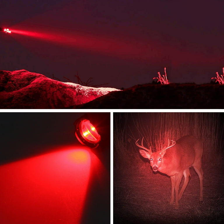 Green Led Red Flashlight Ever Ready Fold