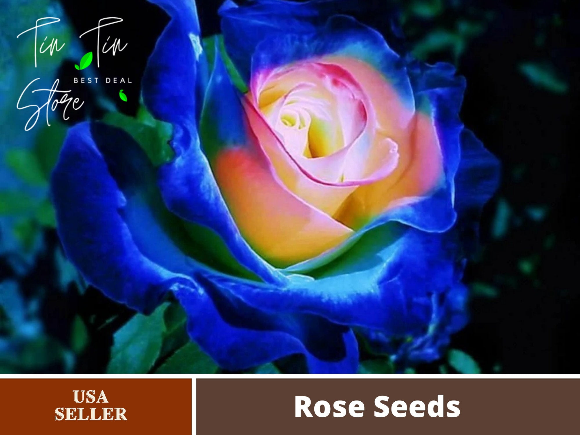 30 Rare Seeds| English Blue and Yellow Rose #1126 |BUY 4 GET 1 FREE ...