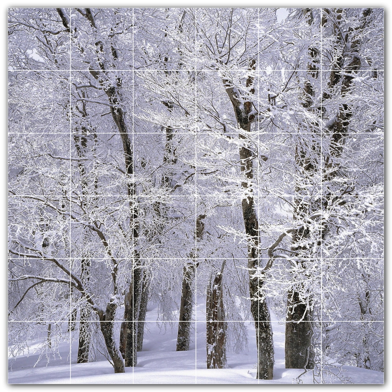 Picture-Tiles.com: Winter Ceramic Tile Wall Mural WAL501225-66XL. 72"W ...