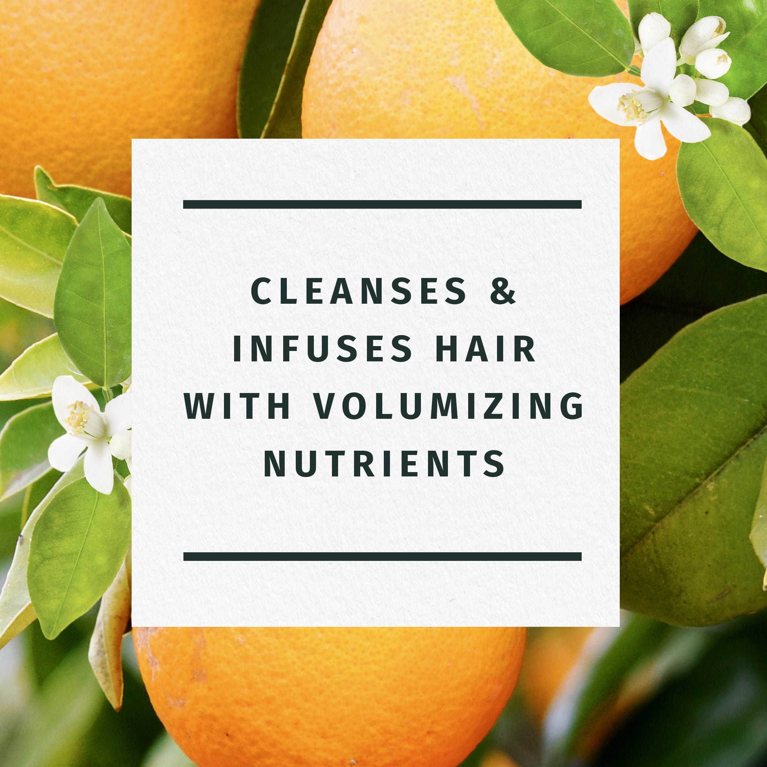 Herbal Essences Shampoo Orange