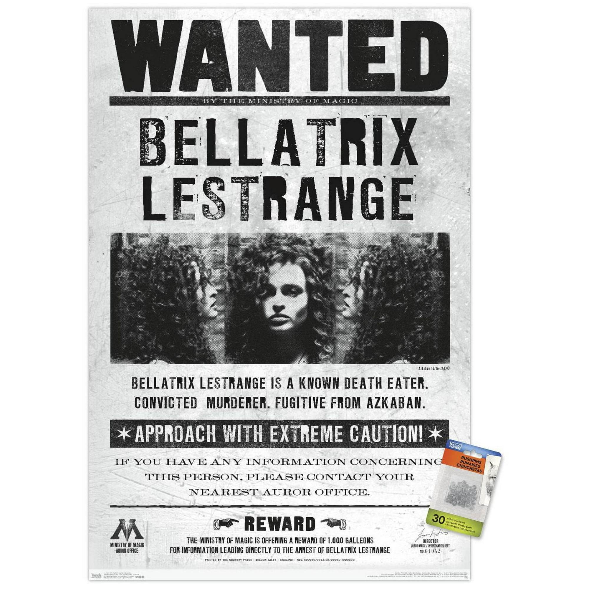 Click here for Trends International The Wizarding World: Harry Po... prices