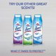 Lysol Max Cover Disinfectant Mist, Garden After Rain, 12.5oz - Walmart.com