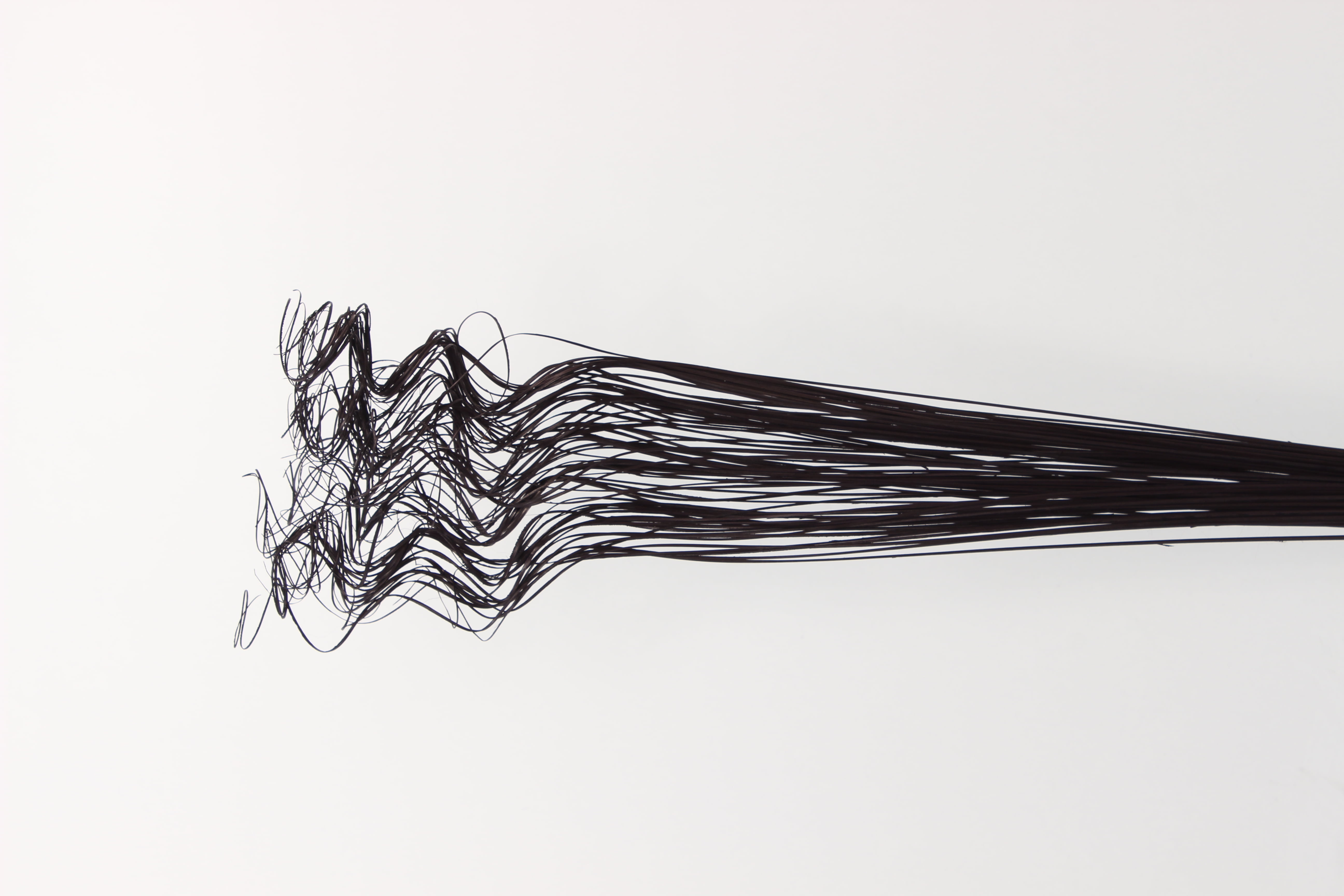 GreenFloralCrafts Dried Floral Filler Extra Tall Curly Ting-Ting 3.5 ft ...