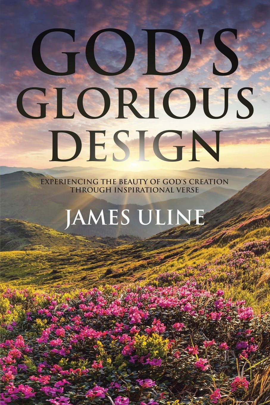 God's Glorious Design: Experiencing the Beauty of God's Creation ...