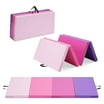 New Bounce Pastel Tumbling Mat for Kids, Folding Gymnastics & Exercise ...