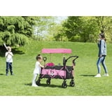 Disney Minnie Mouse Double Toddler Stroller Wagon with Canopy and ...