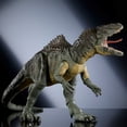 Mattel Collectible Giganotosaurus Dinosaur Toy Figure, Articulations and Posability, Ages 8 ...