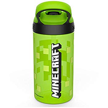 Minecraft Kids Water Bottle with Straw and Built in Carrying Loop Set ...