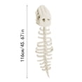 Dinosaur Skeleton, Dinosaur Skeleton Plush, 46In Purple, Halloween ...