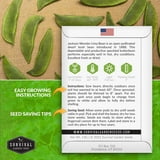 2 Packs Jackson Wonder Lima Bean Seed - Non-GMO Heirloom Full Sun ...