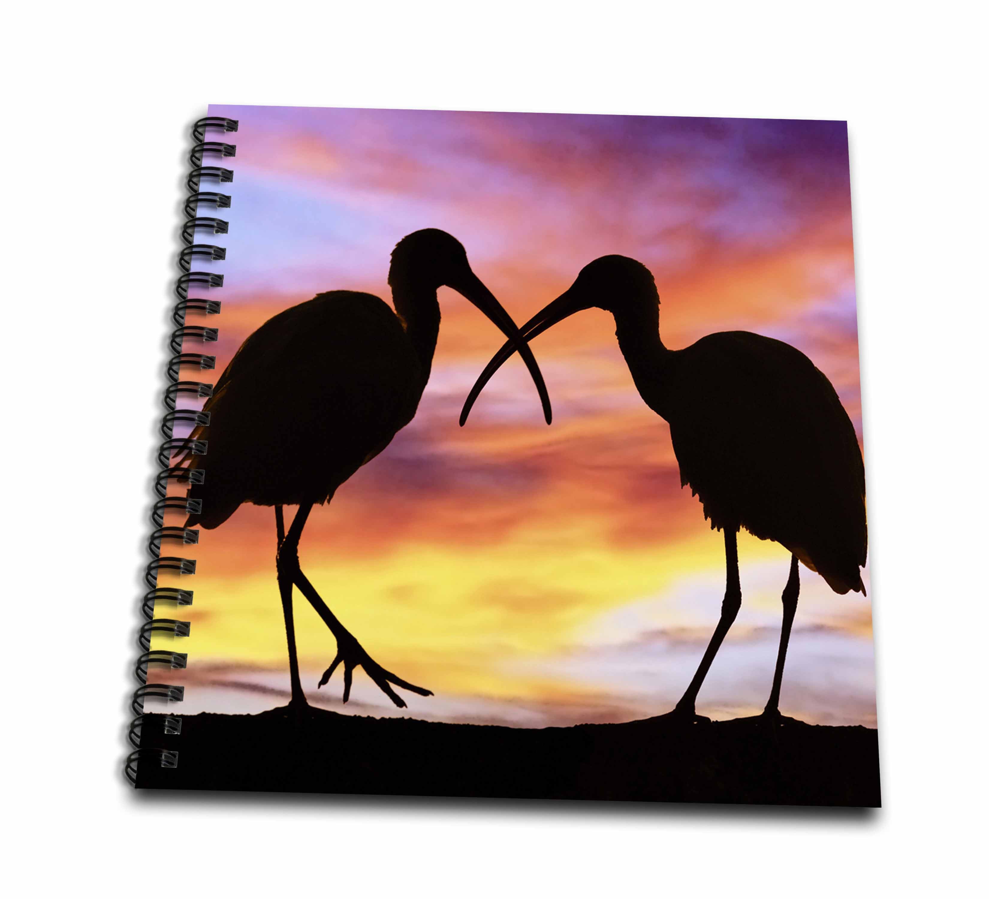 3dRose Florida, Mt. Dora, ibis bird silhouettes - US10 DSN0012 ...