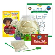 Nature Bound Ant Treehouse Habitat Kit for Kids, Bug Collecting ...