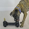KONG® Extreme Rubber Goodie Bone for Power Chewers, Extra Large for ...