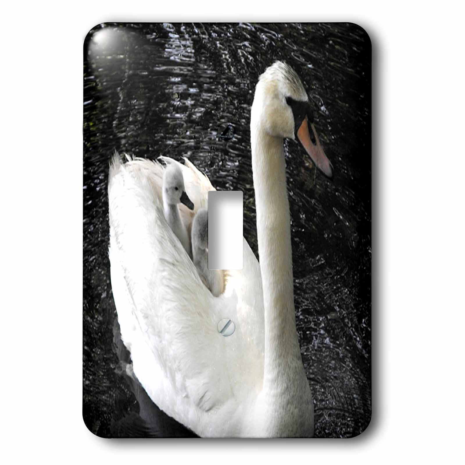 Mama Swan Holds Babies On Her Back single toggle switch lsp-80711-1 ...