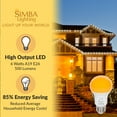 Simba Lighting LED Amber Bulbs, 2000K Warm Light, 6W 40W Equivalent ...