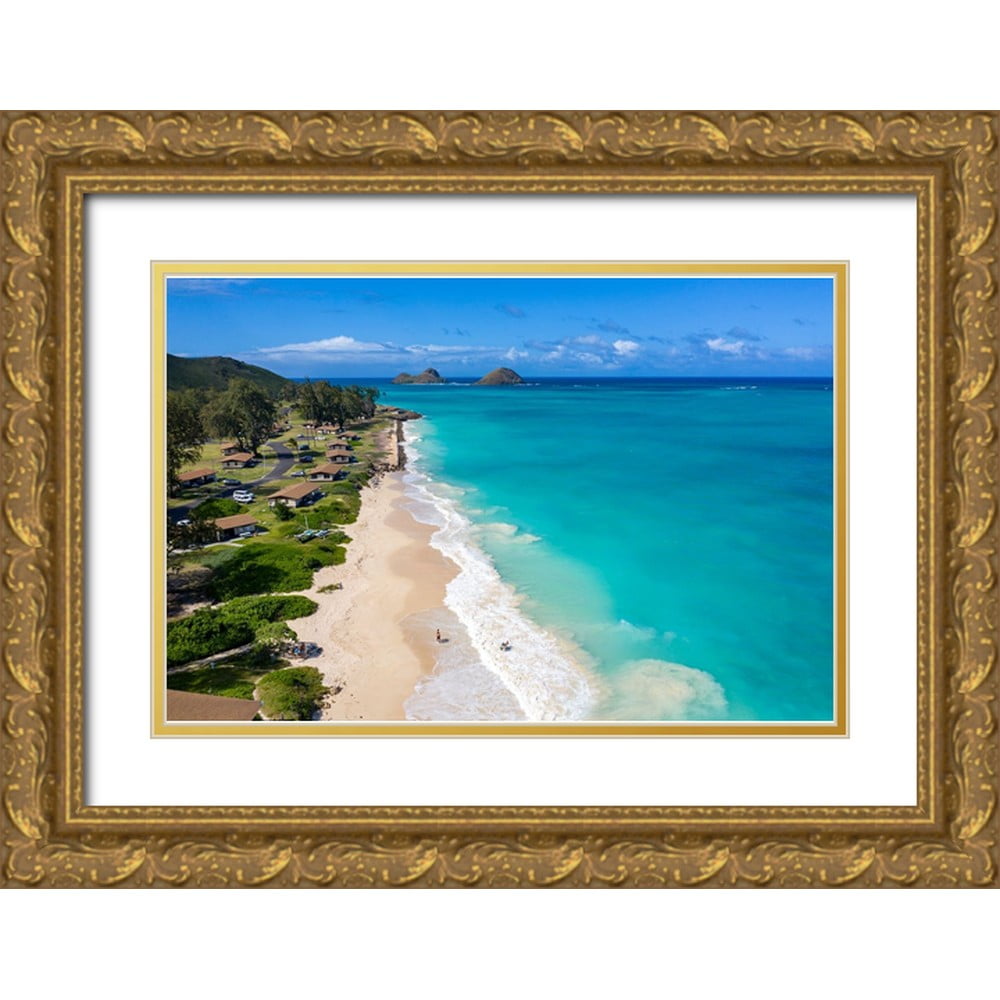 Peebles, Douglas 14x11 Gold Ornate Wood Framed with Double Matting ...
