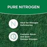 The Andersons Professional Pure Nitrogen 32-0-0 Fertilizer - 18lbs ...