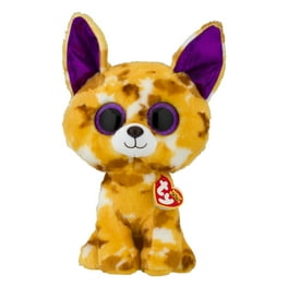 Pablo Chihuahua Boo farour Clip