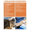 Adjustable Dog Knee Brace, Non-Slip Support for Torn ACL/CCL & Luxating ...