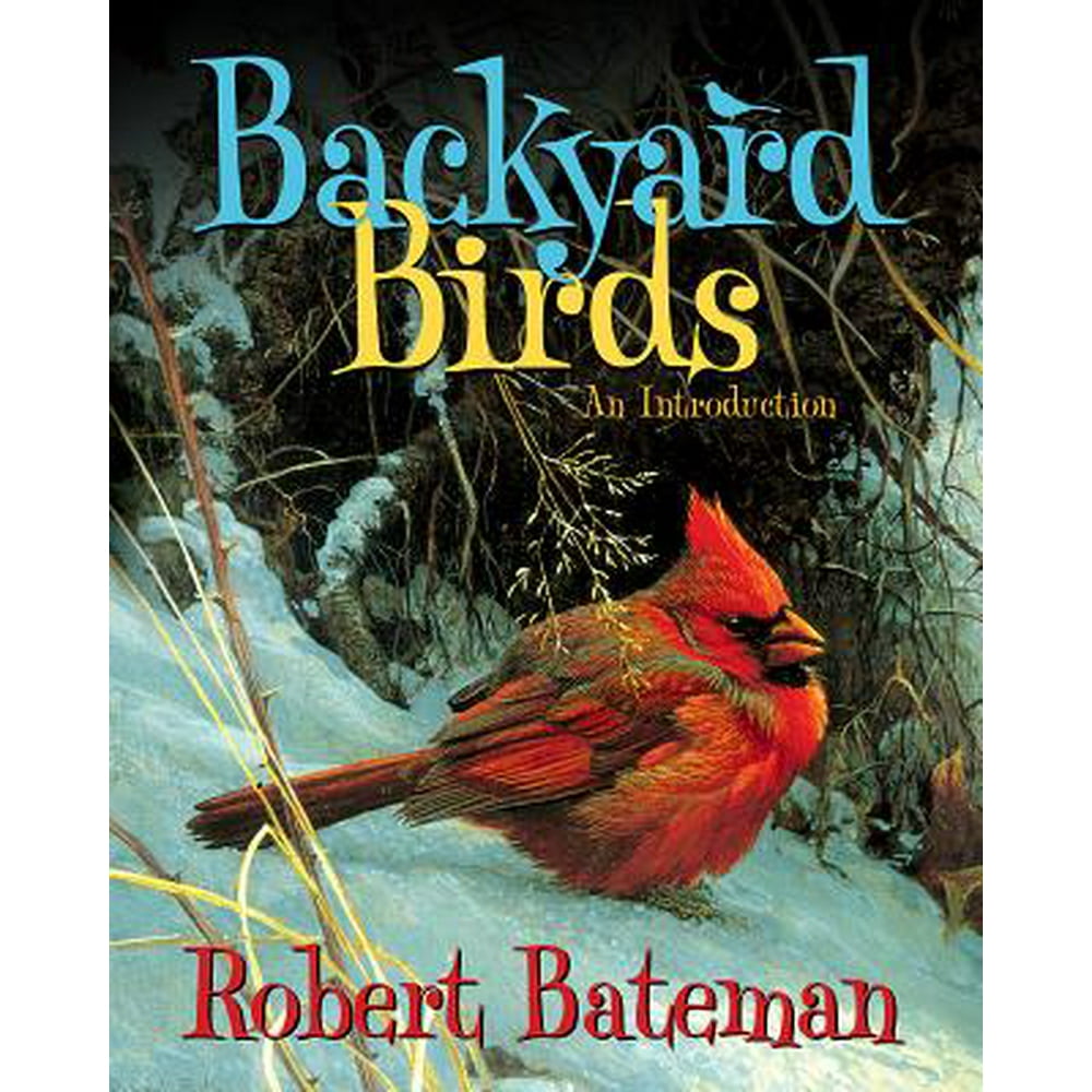 Backyard Birds : An Introduction (Paperback) - Walmart.com - Walmart.com