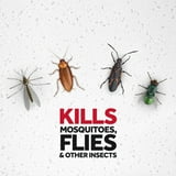 Raid Insect Killer, House & Garden I, 11 oz - Walmart.com