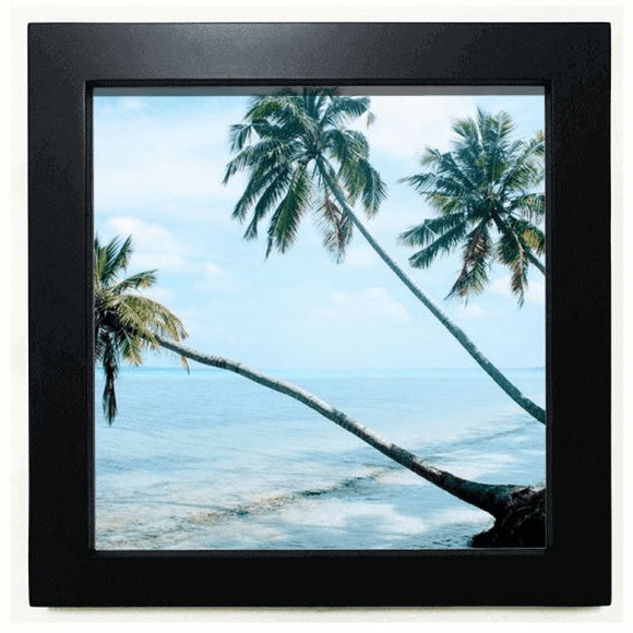 Green Tree Gallery Picture Frames