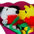 Peanuts Valentine's Gift: Snoopy and Woodstock Plush Stuffed Animal ...