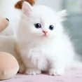 BESTSKY New Realistic Robot Cat, Robot Cat, That Acts Like A Real Pet ...