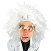Shock Treatment Mad Scientist White Costume Wig - Walmart.com