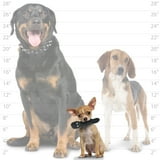 Silly Squeakers MiniPoo Durable Floating Vinyl Squeaky Dog Toy ...