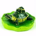 2-Piece Floating Pond Frog and Turtle - Walmart.com
