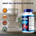 Insupure Capsules, Official Insu Pure Blood Support Supplement, All ...