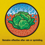 Corry's Slug & Snail Killer Bait 6lb - Walmart.com