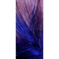 (2 pack) L'Oreal Paris Colorista Spray Temporary Hair Color, Purple ...