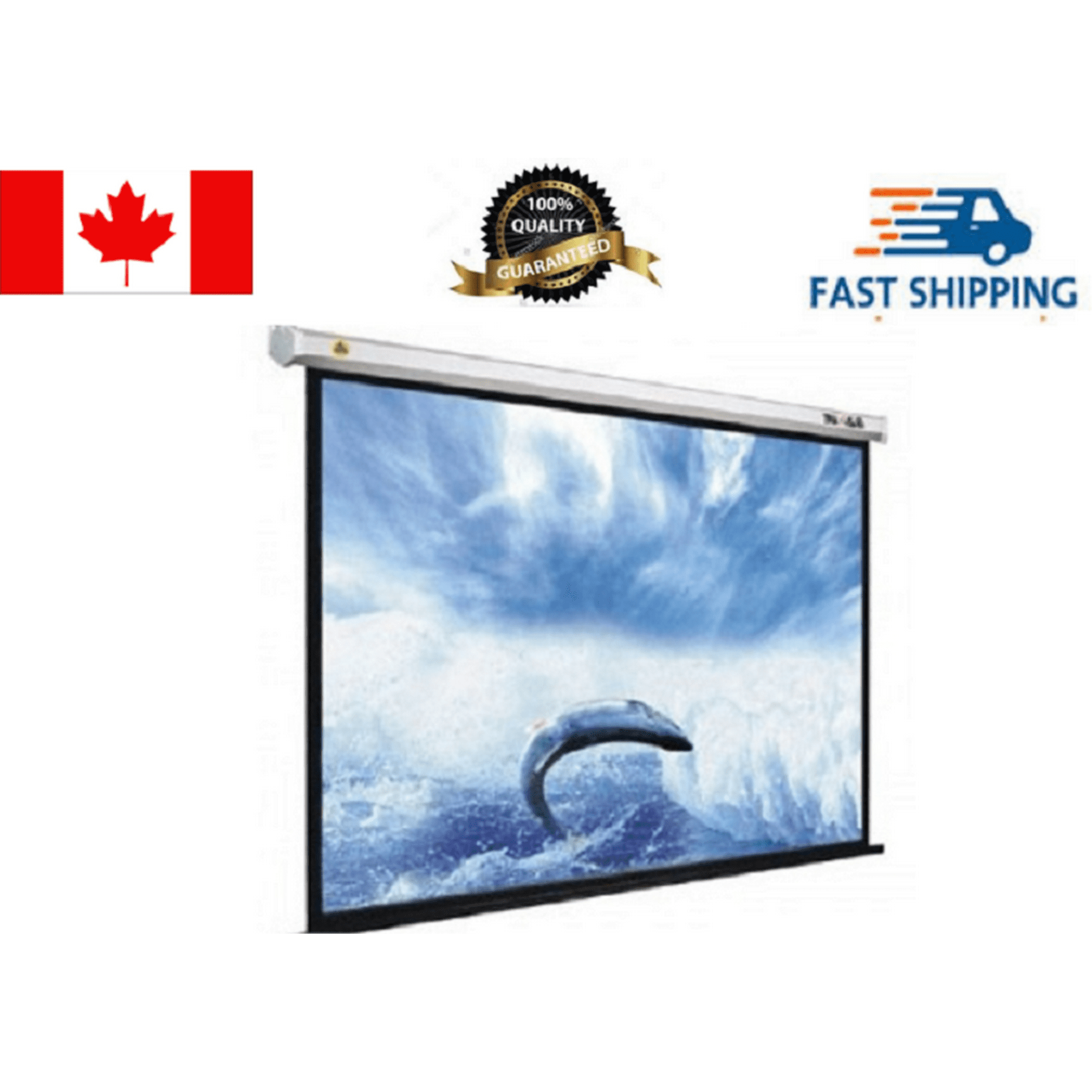 Click here for Egalaxy 120″ 16:9 Electric Projector Screen (Matte... prices
