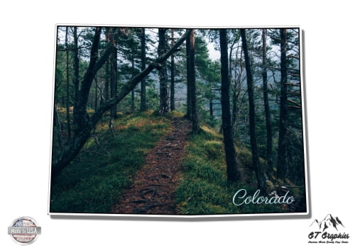 Colorado Forest Path Beautiful Nature Outdoor Explore Adventure - 5 ...