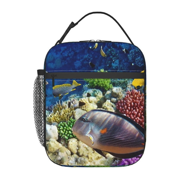 Insulated Fish Boxes