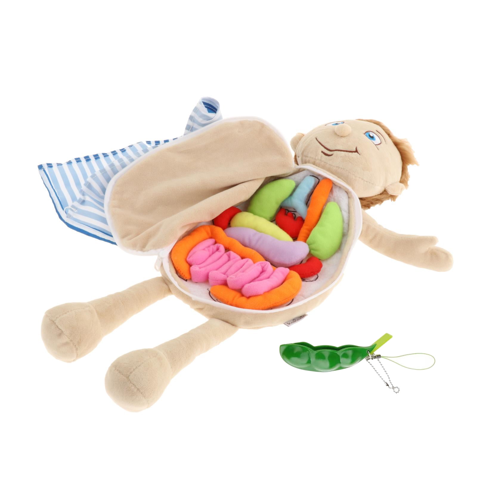 3D Organ Body Educational Plush Kids ,Made of Polyester and Cotton ...