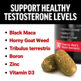 Force Factor Test X180 Men's Multivitamin, Testosterone Support, Muscle ...