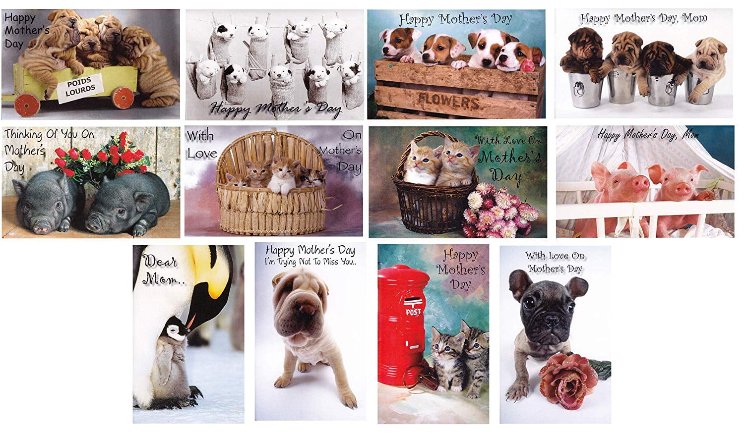 Mother's Day Cards Assorted Bulk 12 Pack with Cute Animals - Walmart.com