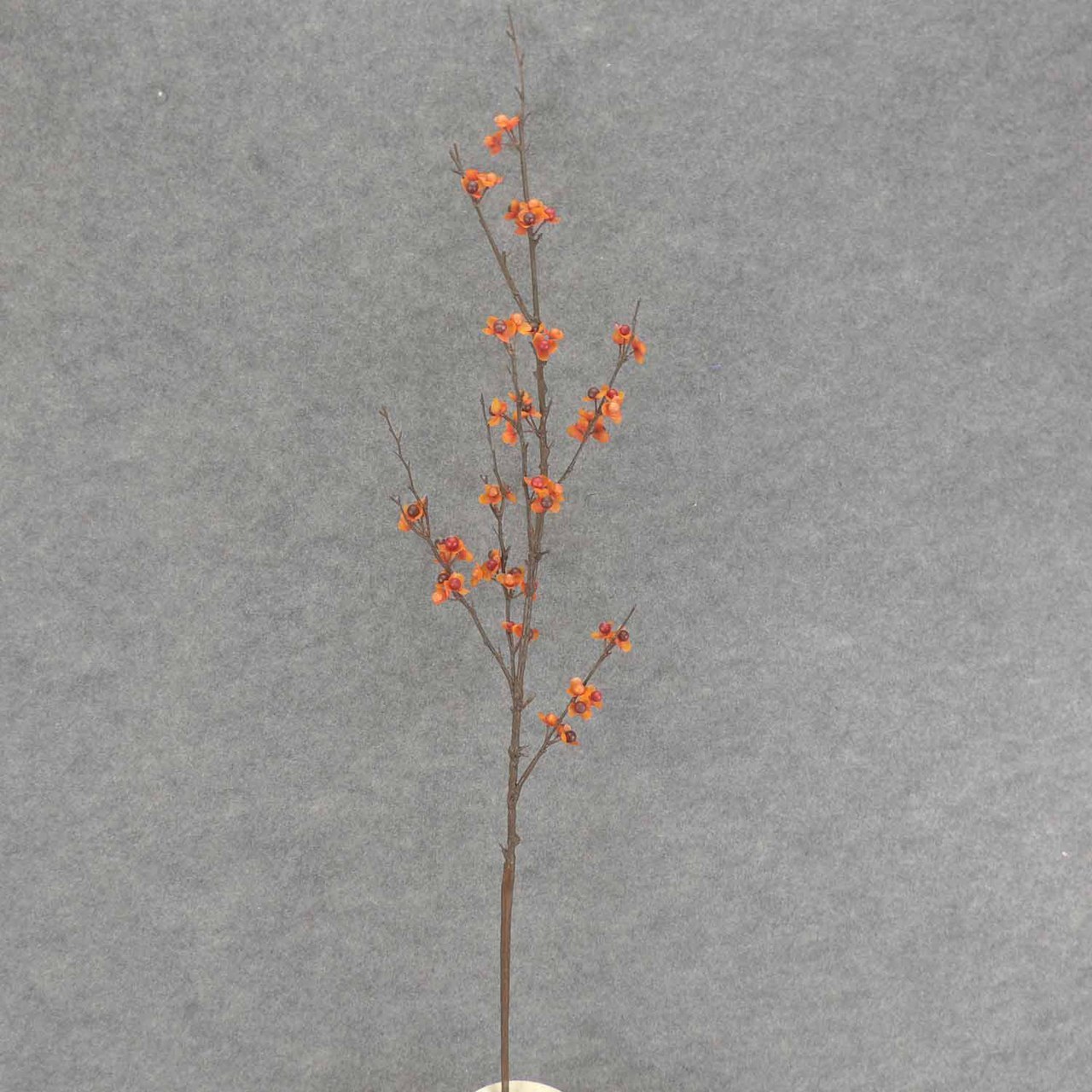 1 Pc, 42 Inch Tall Artificial Bittersweet Spray Has Small Red ...