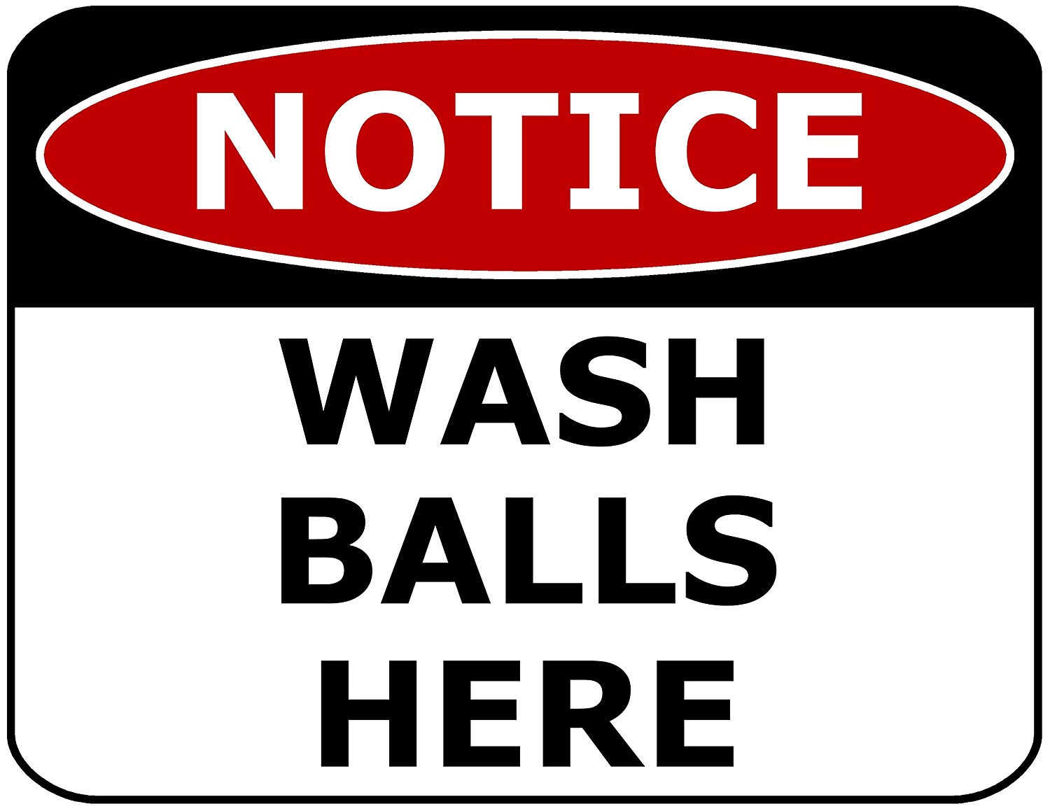 PCSCP NOTICE Wash Balls Here 11 inch by 9.5 inch Laminated Funny Sign ...