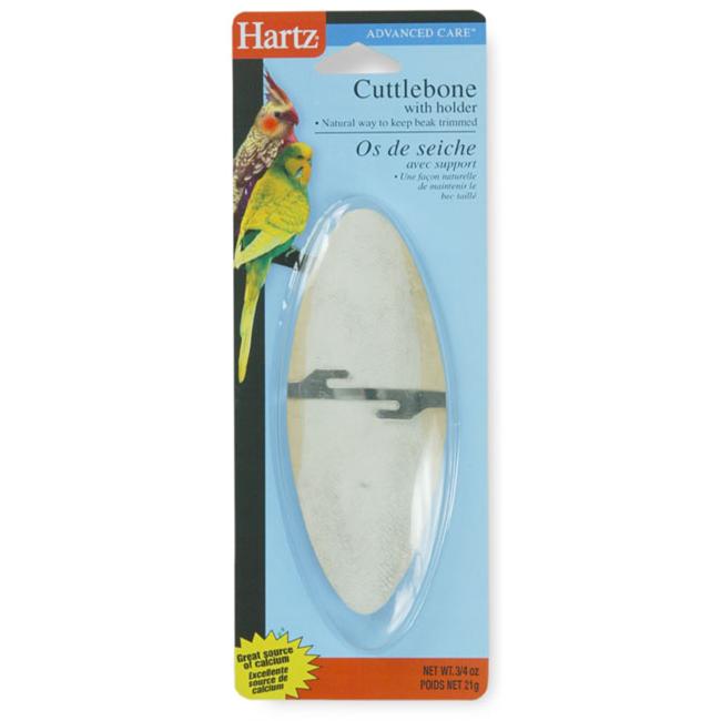 Hartz Cuttlebone with Holder for all Pet Birds - Walmart.com
