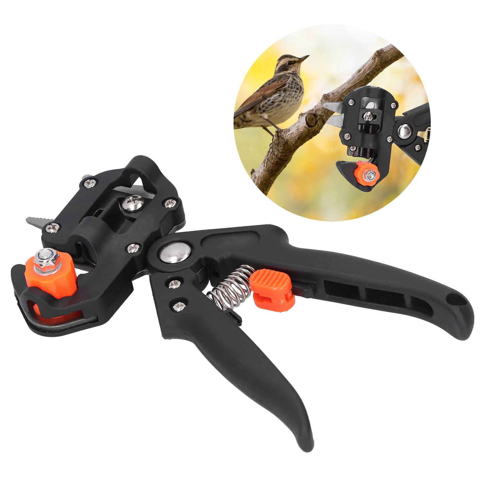 Juego De Herramientas De Injerto De Jardín Injerto De árboles, Planta ...