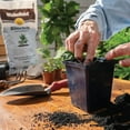 Wakefield BioChar Organic Soil Conditioner, Indoor/Outdoor, 1 Cubic ...