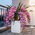 Beautiful Brilliant Cymbidium-Ornamental Gift-Garden Home Decoration ...
