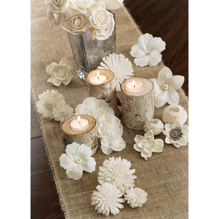 Bela Flowers Pic | Best Flower Site