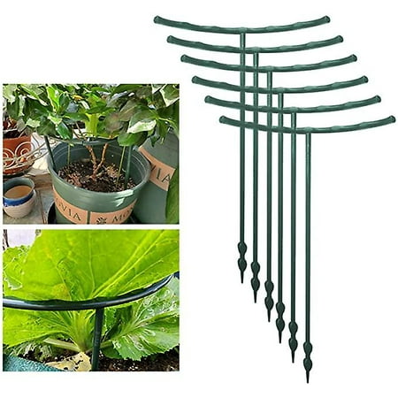 Junmo Starlight-12 Pack Semi-circular Potted Plant Stakes, Climbing ...