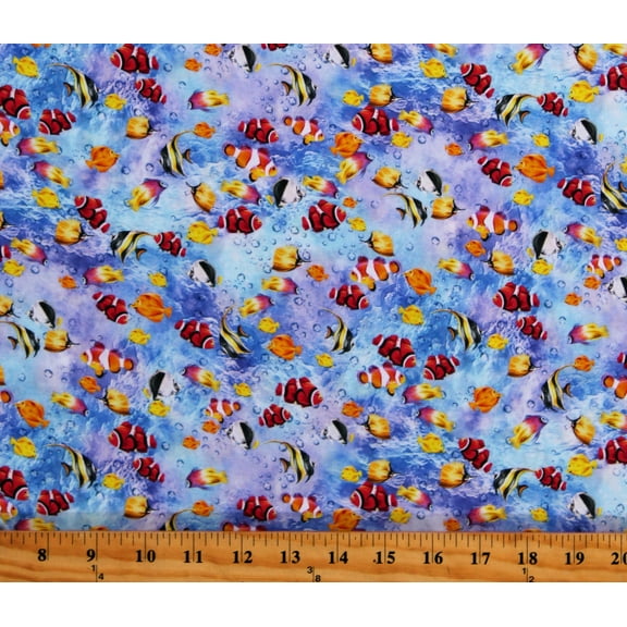 Cotton Coral Canyon Fishes Fish Animals Aquatic Creatures Water Ocean ...